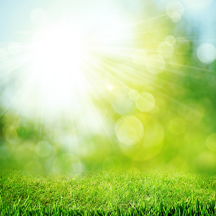 Other functional ingredients | Our Products | TAIYO